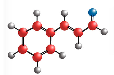 Cinnamal - Proch'é Bio
