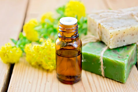 Psiadia altissima oil - Proch'é Bio